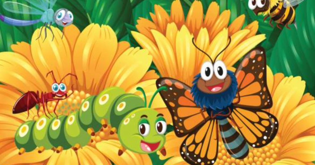 When do butterflies hatch? | BUTTERFLY KINGDOM